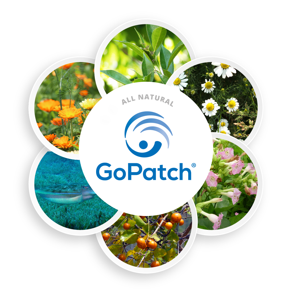 Why GoPatch? - GoPatch